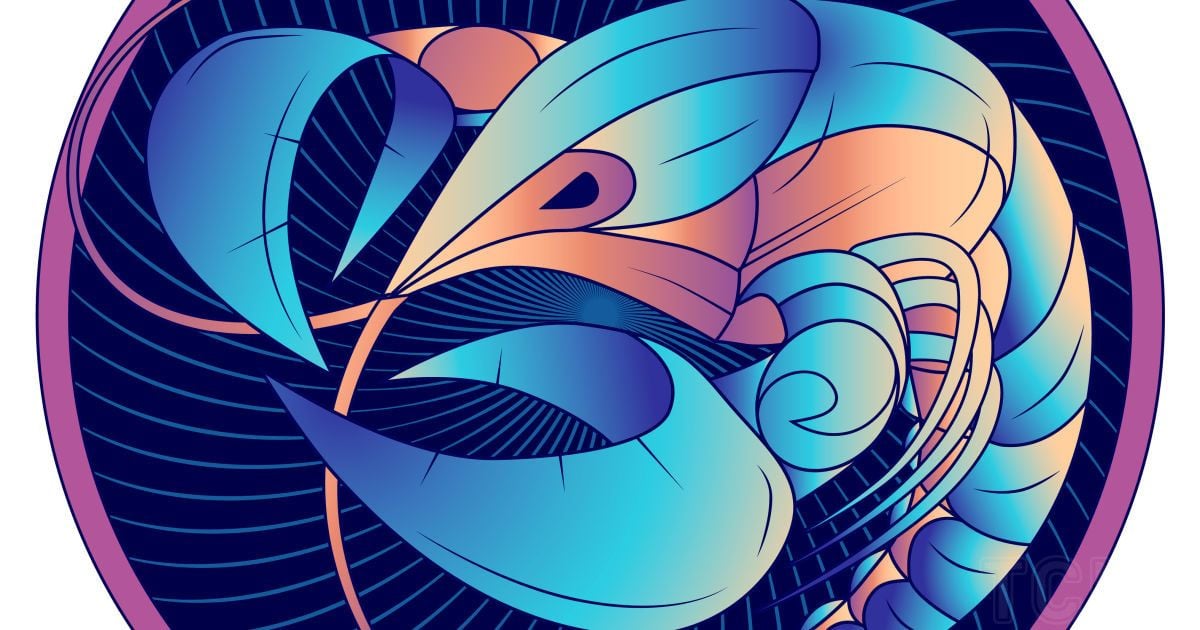 Якому знаку зодіаку пощастить 19 грудня Читайте на Ukr Net